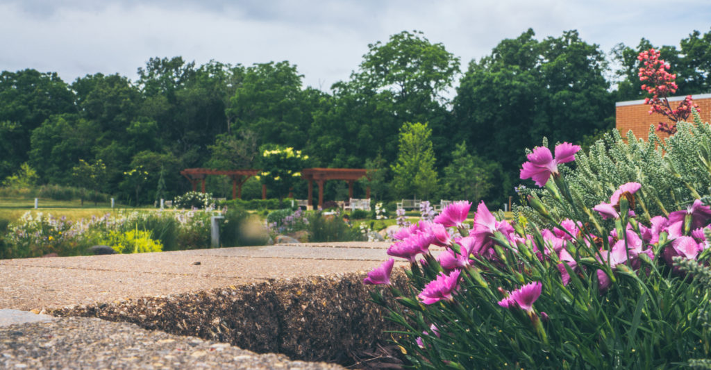 Get to know us - Visit Edgerton